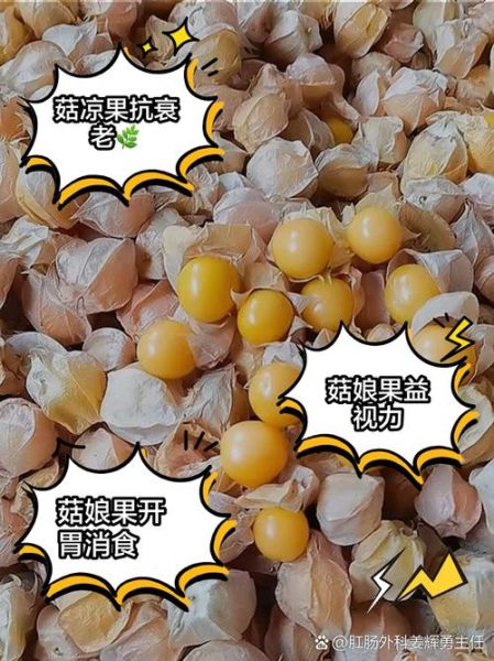 菇凉子是什么_菇凉子怎么吃-第1张图片-山城妙识 菇凉子是什么_菇凉子怎么吃-第1张图片-山城妙识