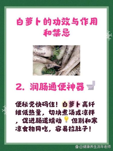 萝卜的功效与作用_萝卜的禁忌有哪些-第3张图片-山城妙识