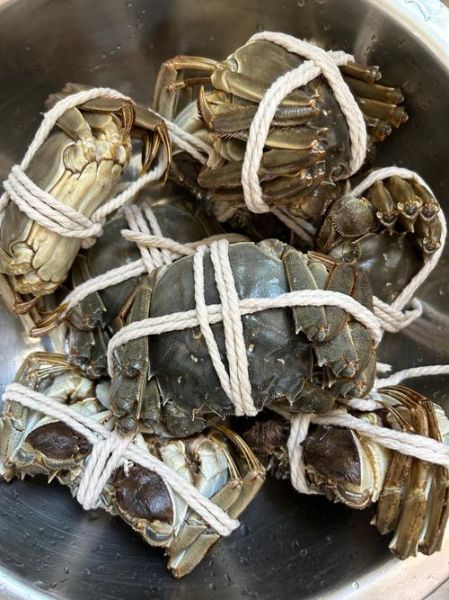 阳澄湖6两大闸蟹多少钱一只_正宗价格怎么辨别-第2张图片-山城妙识 阳澄湖6两大闸蟹多少钱一只_正宗价格怎么辨别-第2张图片-山城妙识