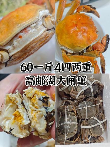 阳澄湖6两大闸蟹多少钱一只_正宗价格怎么辨别-第1张图片-山城妙识 阳澄湖6两大闸蟹多少钱一只_正宗价格怎么辨别-第1张图片-山城妙识
