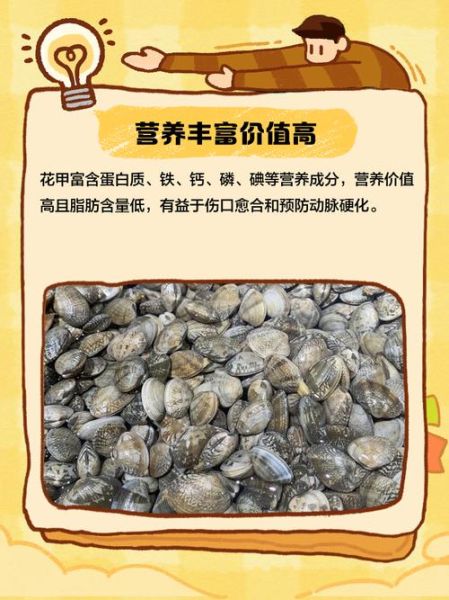 花甲的营养价值_花甲怎么吃最营养-第2张图片-山城妙识 花甲的营养价值_花甲怎么吃最营养-第2张图片-山城妙识
