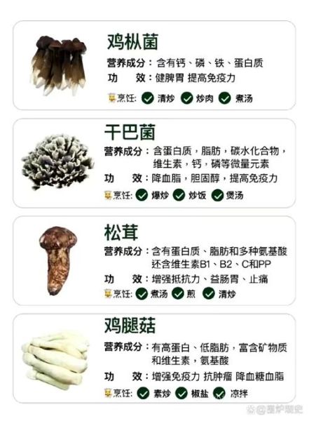 食用菌大全_哪些食用菌营养价值最高-第3张图片-山城妙识