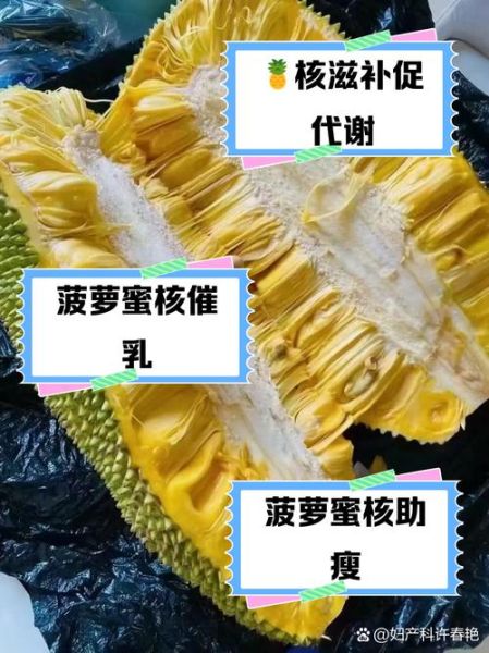菠萝蜜核的营养价值_怎么吃最健康-第3张图片-山城妙识 菠萝蜜核的营养价值_怎么吃最健康-第3张图片-山城妙识