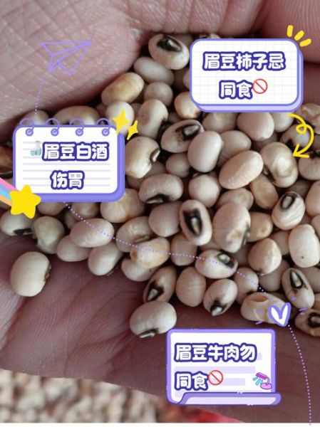 眉豆的功效与作用_眉豆怎么吃最养胃-第2张图片-山城妙识