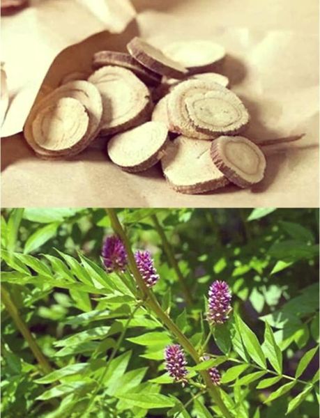 甘草图片长什么样_甘草图片真假怎么辨别-第1张图片-山城妙识