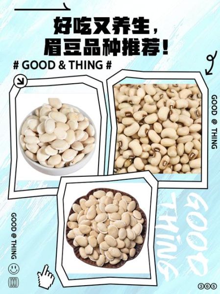 眉豆的功效与作用_眉豆怎么吃最养胃-第3张图片-山城妙识