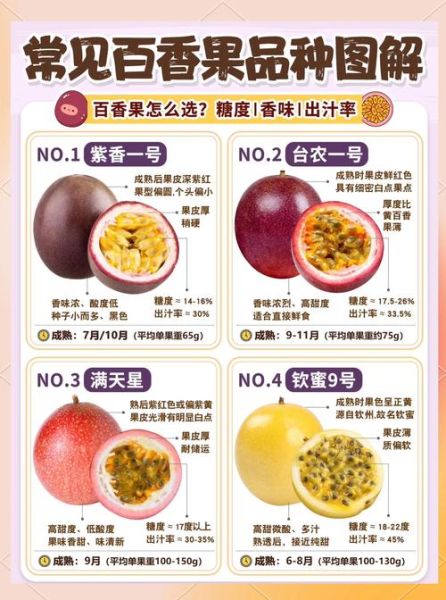 百香果吃了有什么好处_百香果的功效与作用-第1张图片-山城妙识 百香果吃了有什么好处_百香果的功效与作用-第1张图片-山城妙识