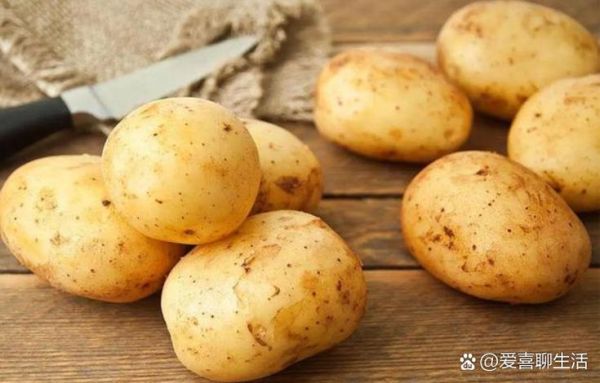 洋芋和土豆的区别_哪个是马铃薯-第2张图片-山城妙识 洋芋和土豆的区别_哪个是马铃薯-第2张图片-山城妙识