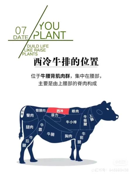 牛排怎么选部位_牛排怎么腌制才嫩-第3张图片-山城妙识