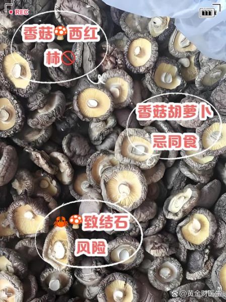 香菇不能和什么食物一起吃_香菇相克食物有哪些-第2张图片-山城妙识 香菇不能和什么食物一起吃_香菇相克食物有哪些-第2张图片-山城妙识