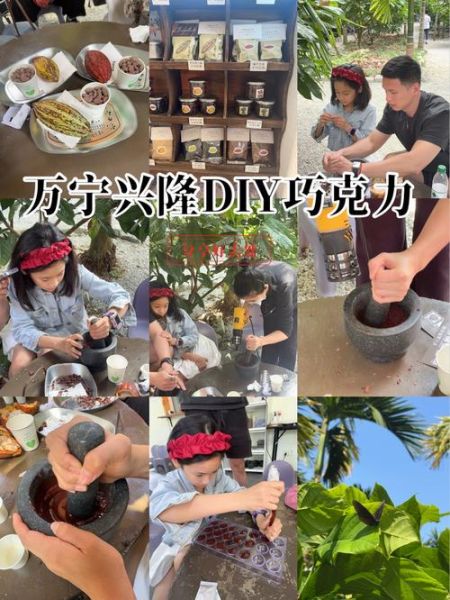 可可豆怎么变成巧克力_可可豆制作巧克力步骤-第2张图片-山城妙识 可可豆怎么变成巧克力_可可豆制作巧克力步骤-第2张图片-山城妙识