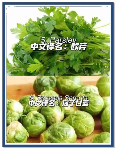 aubergine是什么蔬菜_aubergine和eggplant区别-第2张图片-山城妙识 aubergine是什么蔬菜_aubergine和eggplant区别-第2张图片-山城妙识