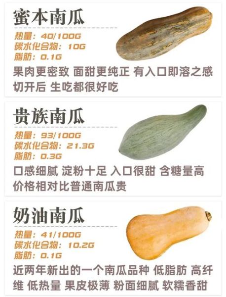 长条的南瓜叫什么_长南瓜品种名称大全-第1张图片-山城妙识 长条的南瓜叫什么_长南瓜品种名称大全-第1张图片-山城妙识