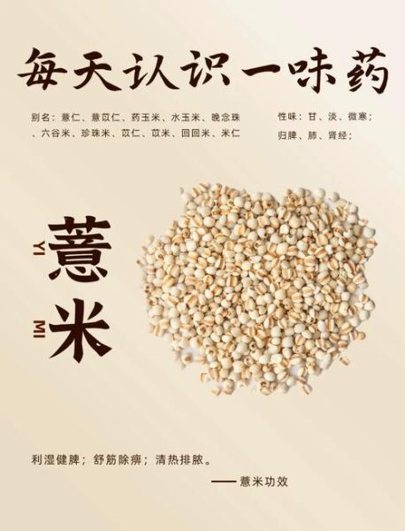 长期吃薏米的坏处_薏米吃多了有什么副作用-第1张图片-山城妙识 长期吃薏米的坏处_薏米吃多了有什么副作用-第1张图片-山城妙识
