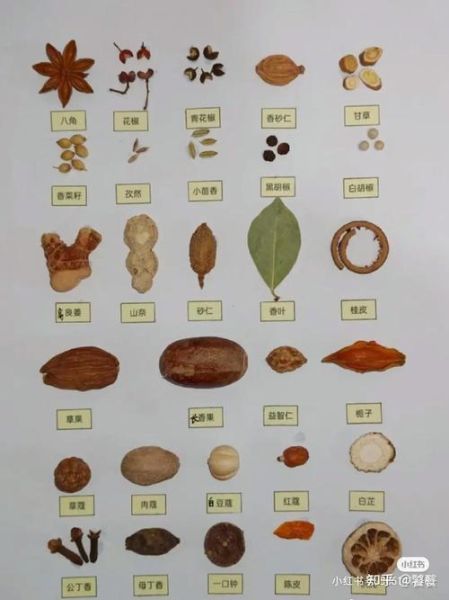 54种香料有哪些_如何快速识别54种香料图解-第3张图片-山城妙识 54种香料有哪些_如何快速识别54种香料图解-第3张图片-山城妙识