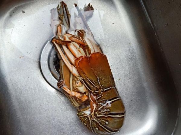 龙虾怎么清洗_清蒸龙虾怎么做-第3张图片-山城妙识 龙虾怎么清洗_清蒸龙虾怎么做-第3张图片-山城妙识