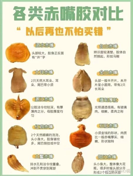 鱼胶的功效与作用_鱼胶怎么吃最好-第1张图片-山城妙识 鱼胶的功效与作用_鱼胶怎么吃最好-第1张图片-山城妙识