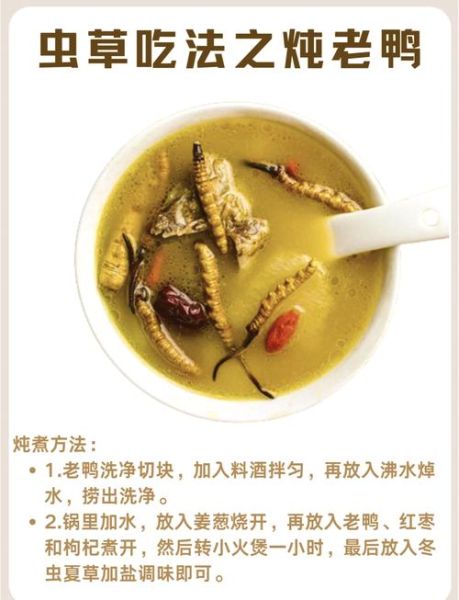 老鸭汤怎么做最滋补_老鸭汤用什么药材最养人-第1张图片-山城妙识 老鸭汤怎么做最滋补_老鸭汤用什么药材最养人-第1张图片-山城妙识