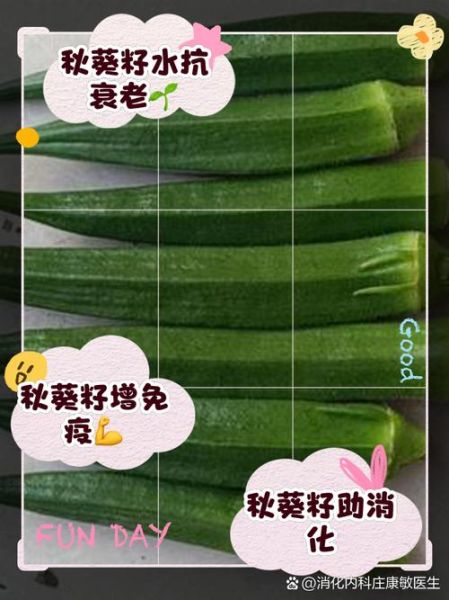 秋葵泡水喝可以降血糖吗_秋葵降血糖真相-第1张图片-山城妙识 秋葵泡水喝可以降血糖吗_秋葵降血糖真相-第1张图片-山城妙识
