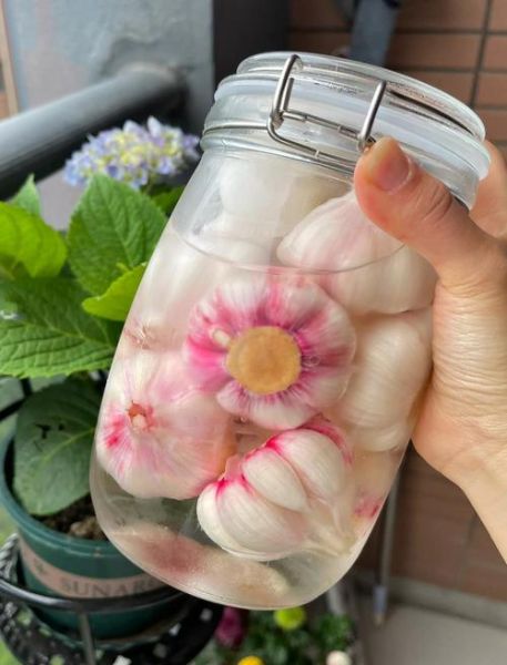 腌青蒜怎么保存不变色_腌青蒜的做法大全-第3张图片-山城妙识 腌青蒜怎么保存不变色_腌青蒜的做法大全-第3张图片-山城妙识