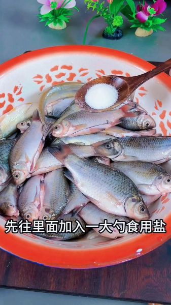 干炸小鲫鱼怎么做_小鲫鱼炸多久才酥脆-第2张图片-山城妙识 干炸小鲫鱼怎么做_小鲫鱼炸多久才酥脆-第2张图片-山城妙识