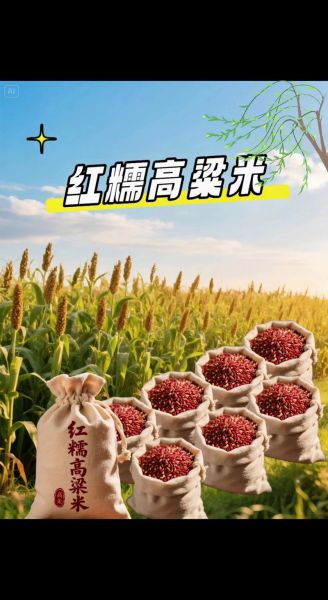 红高粱米能降血糖吗_红高粱米怎么吃最养生-第1张图片-山城妙识 红高粱米能降血糖吗_红高粱米怎么吃最养生-第1张图片-山城妙识