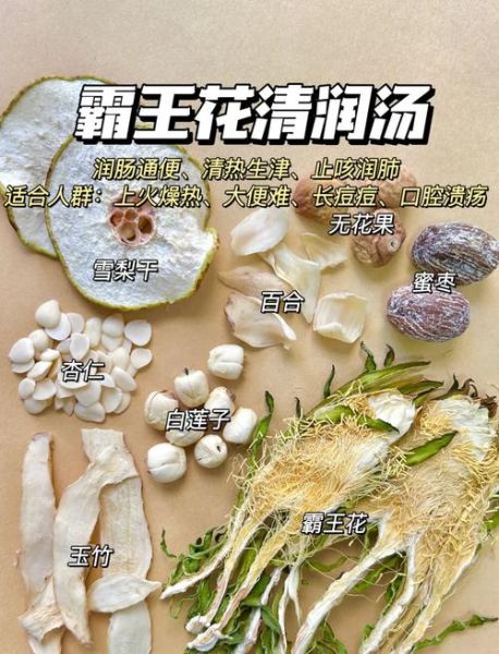 鲜霸王花煲汤的做法大全_鲜霸王花煲汤有什么功效-第1张图片-山城妙识 鲜霸王花煲汤的做法大全_鲜霸王花煲汤有什么功效-第1张图片-山城妙识