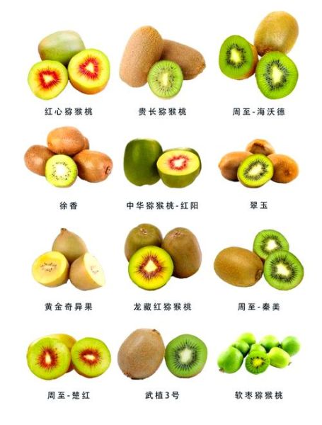 奇异果怎么去皮_奇异果去皮最简单的方法-第1张图片-山城妙识 奇异果怎么去皮_奇异果去皮最简单的方法-第1张图片-山城妙识