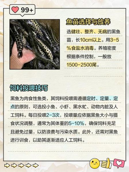 黑鱼养殖成本是多少_黑鱼养殖周期多久-第3张图片-山城妙识 黑鱼养殖成本是多少_黑鱼养殖周期多久-第3张图片-山城妙识