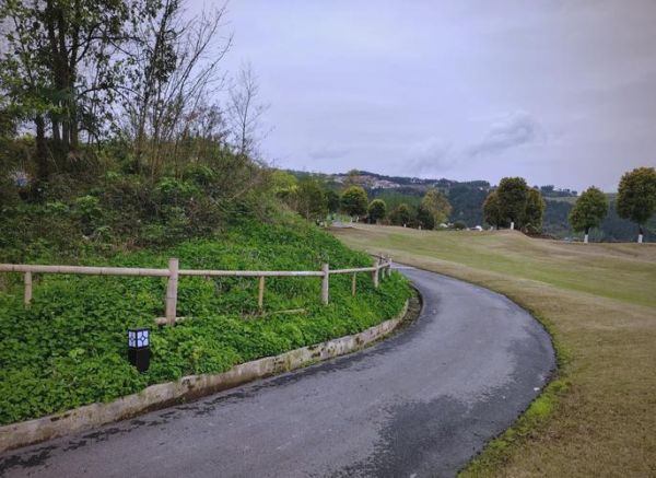 金荞麦的功效与作用及禁忌_金荞麦泡水喝的副作用-第2张图片-山城妙识 金荞麦的功效与作用及禁忌_金荞麦泡水喝的副作用-第2张图片-山城妙识