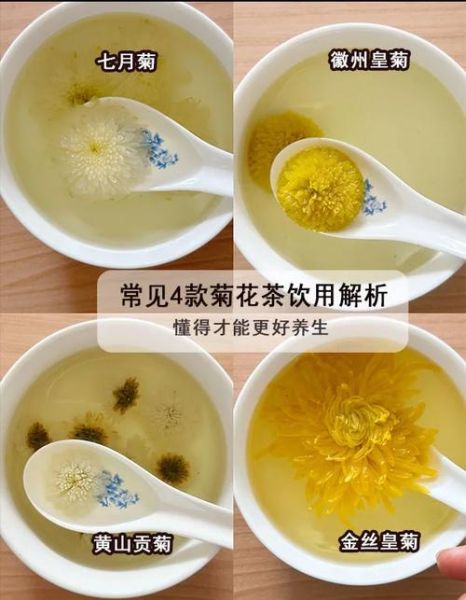 大菊花茶和小菊花茶哪个好_功效区别与选购指南-第3张图片-山城妙识