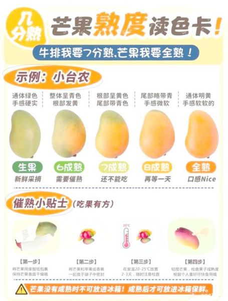 芒果怎么挑选_芒果保存方法-第1张图片-山城妙识 芒果怎么挑选_芒果保存方法-第1张图片-山城妙识
