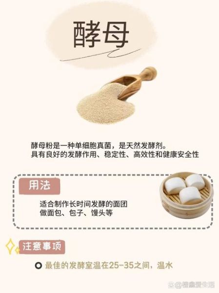 食用碱是淀粉吗_食用碱和淀粉的区别-第1张图片-山城妙识