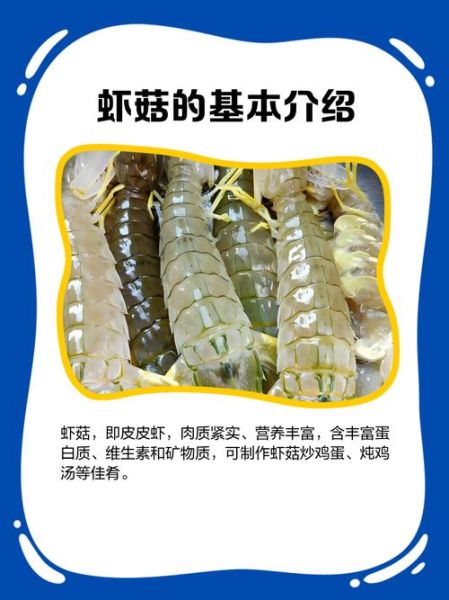 虾姑图片大全大图_高清虾姑怎么挑选-第1张图片-山城妙识 虾姑图片大全大图_高清虾姑怎么挑选-第1张图片-山城妙识