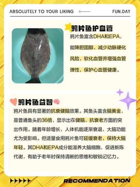 鸦片鱼是海鲜吗_鸦片鱼属于什么鱼-第3张图片-山城妙识