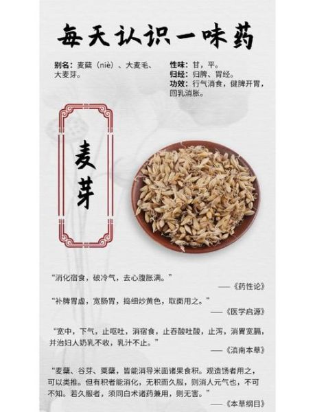 麦芽的功效与作用_麦芽怎么吃才健康-第1张图片-山城妙识 麦芽的功效与作用_麦芽怎么吃才健康-第1张图片-山城妙识