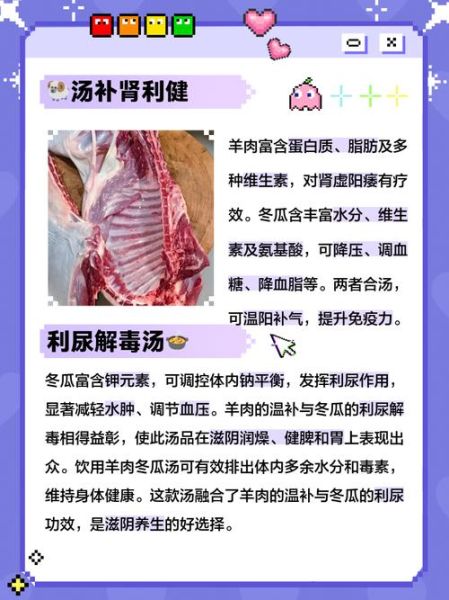 冬瓜羊肉汤的功效与禁忌_冬瓜羊肉汤适合什么人喝-第2张图片-山城妙识