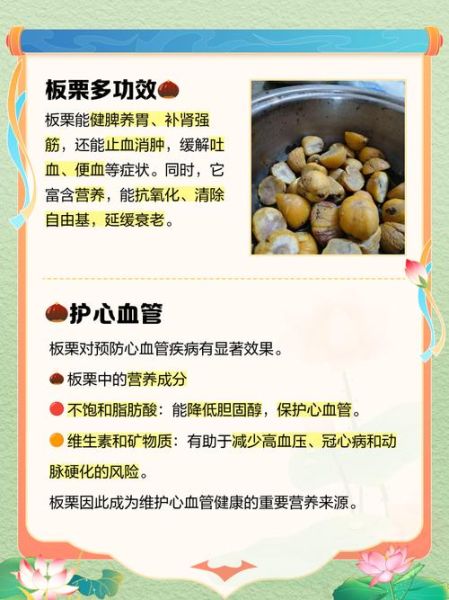 板栗补肾吗_有什么道理-第2张图片-山城妙识