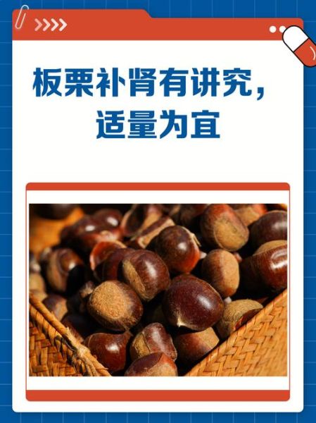 板栗补肾吗_有什么道理-第3张图片-山城妙识
