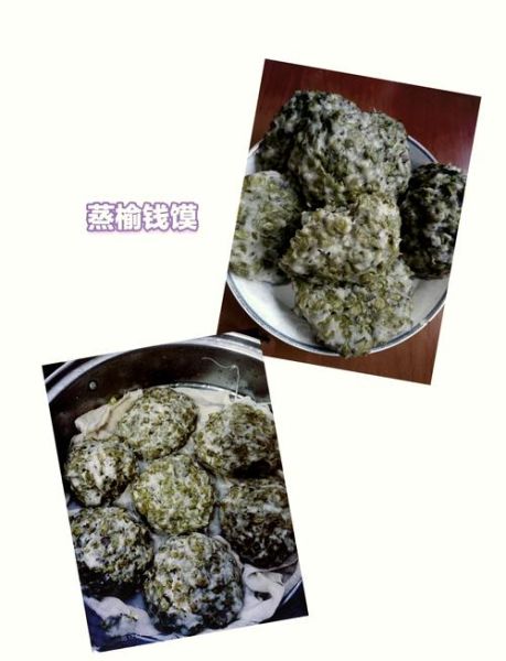 干榆钱的功效与作用_干榆钱怎么吃效果最好-第2张图片-山城妙识 干榆钱的功效与作用_干榆钱怎么吃效果最好-第2张图片-山城妙识