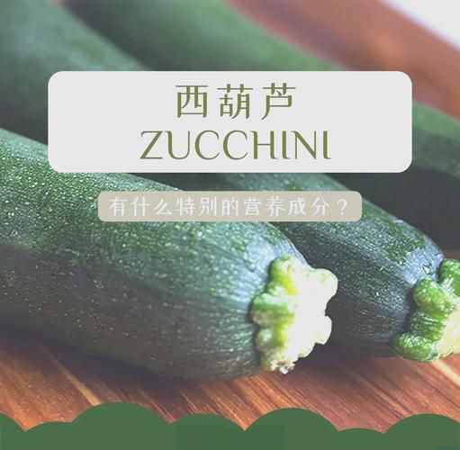 蒲瓜是西葫芦吗_蒲瓜和西葫芦的区别-第3张图片-山城妙识 蒲瓜是西葫芦吗_蒲瓜和西葫芦的区别-第3张图片-山城妙识