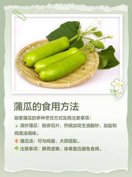 蒲瓜是西葫芦吗_蒲瓜和西葫芦的区别-第2张图片-山城妙识 蒲瓜是西葫芦吗_蒲瓜和西葫芦的区别-第2张图片-山城妙识