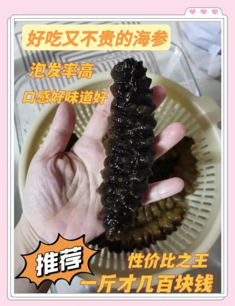 活海参怎么保存_活海参价格多少钱一斤-第3张图片-山城妙识 活海参怎么保存_活海参价格多少钱一斤-第3张图片-山城妙识