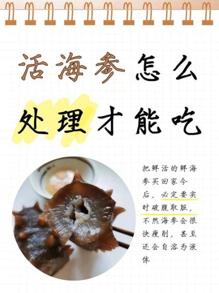 活海参怎么保存_活海参价格多少钱一斤-第2张图片-山城妙识 活海参怎么保存_活海参价格多少钱一斤-第2张图片-山城妙识