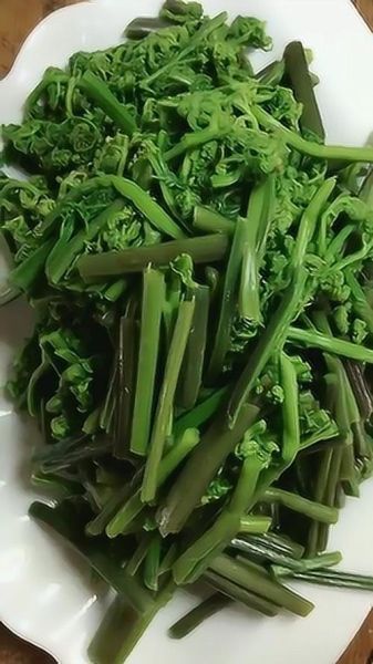 东北蕨菜图片大全_东北蕨菜怎么做好吃-第2张图片-山城妙识