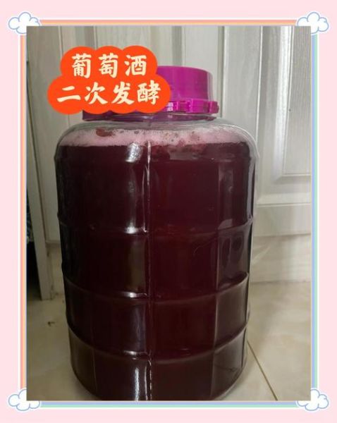 葡萄酒的制作方法比例_自酿葡萄酒配方比例是多少-第3张图片-山城妙识 葡萄酒的制作方法比例_自酿葡萄酒配方比例是多少-第3张图片-山城妙识