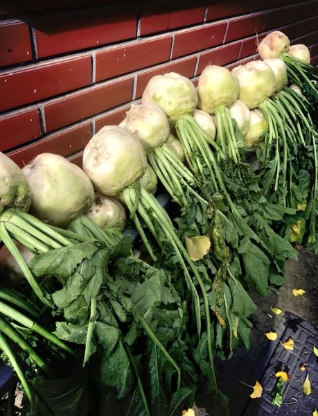 大头菜怎么拌咸菜好吃_大头菜拌咸菜的正确做法-第2张图片-山城妙识 大头菜怎么拌咸菜好吃_大头菜拌咸菜的正确做法-第2张图片-山城妙识