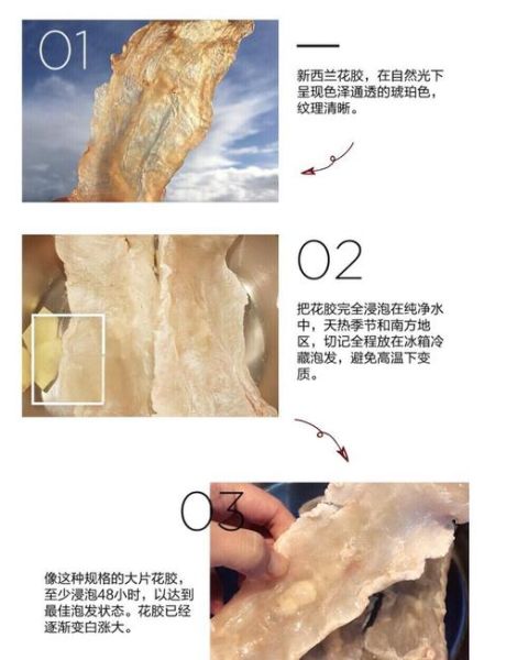 花胶怎么泡发_花胶一次吃多少克-第2张图片-山城妙识 花胶怎么泡发_花胶一次吃多少克-第2张图片-山城妙识