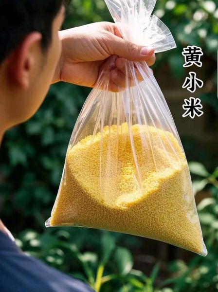 黄小米怎么煮粥最好_黄小米煮粥的正确方法-第2张图片-山城妙识