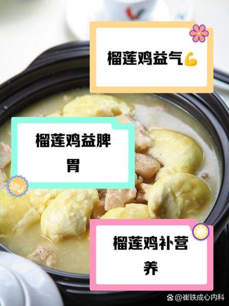 榴莲煲鸡的功效与作用_禁忌人群有哪些-第1张图片-山城妙识